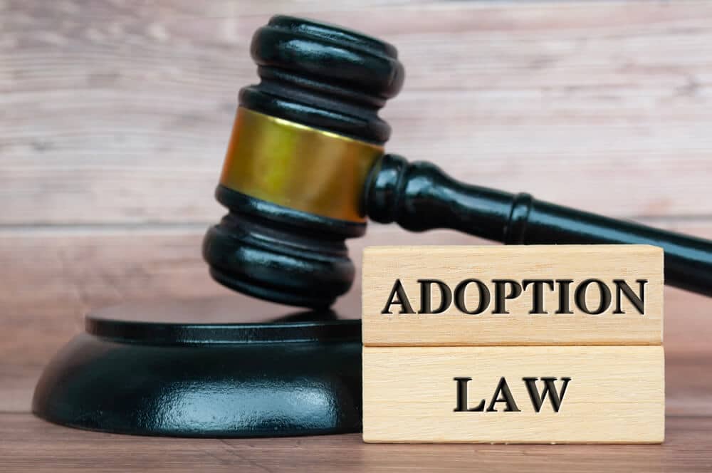 Choosing from Diverse Adoption Paths in NJ